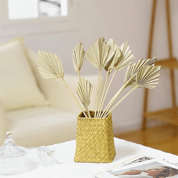 30 Pcs Boho Dried Palm Spears Natural Dried Palm Fans Dried Palm Leaves ...