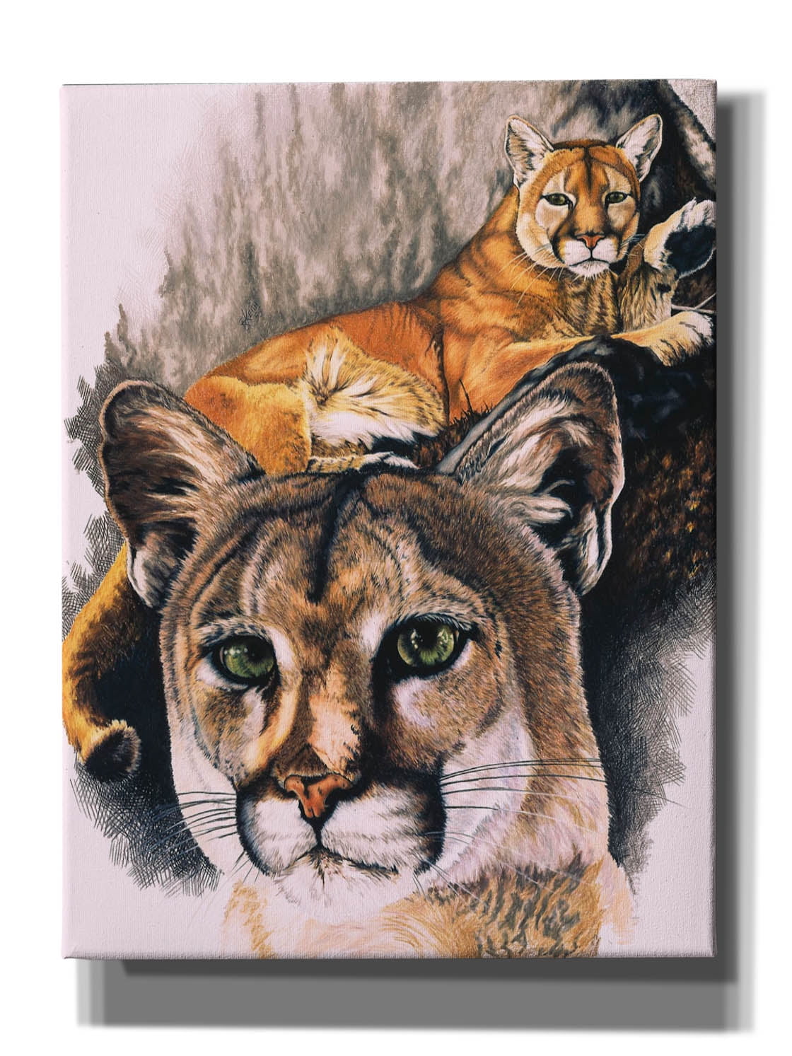 Epic Graffiti 'Felis Concolor Cory' by Barbara Keith, Canvas Wall Art ...