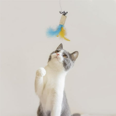 Cat Toys 10 Pcs Interactive Cat Wand Retractable Cat Fishing Toy with 2 ...