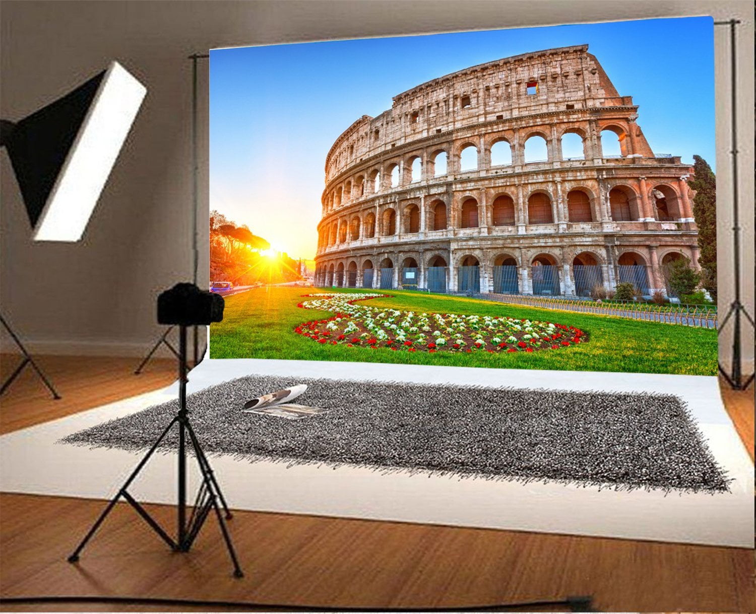 GreenDecor Polyster Rome Colosseum Background 7x5ft Photo Backdrop ...