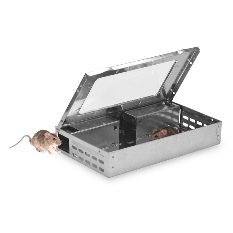 Live Mouse Traps Walmart