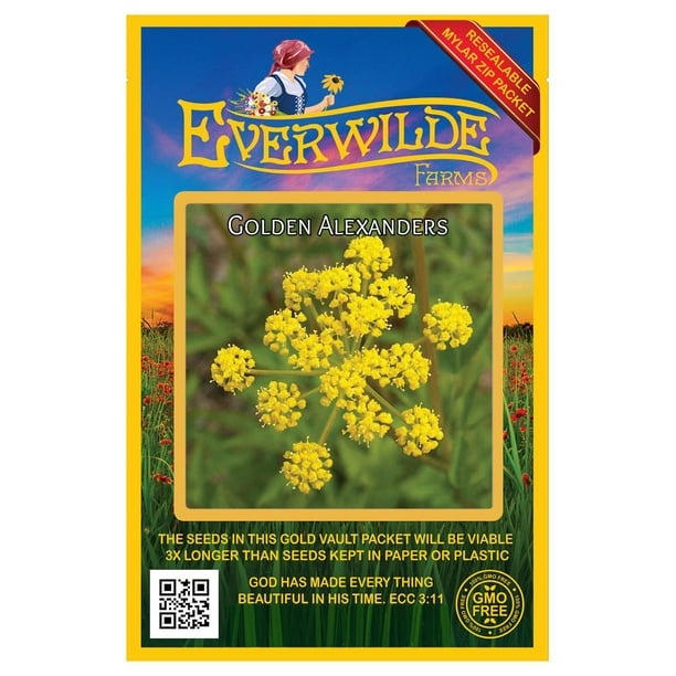 Everwilde Farms - 500 Golden Alexanders Native Wildflower Seeds - Gold ...