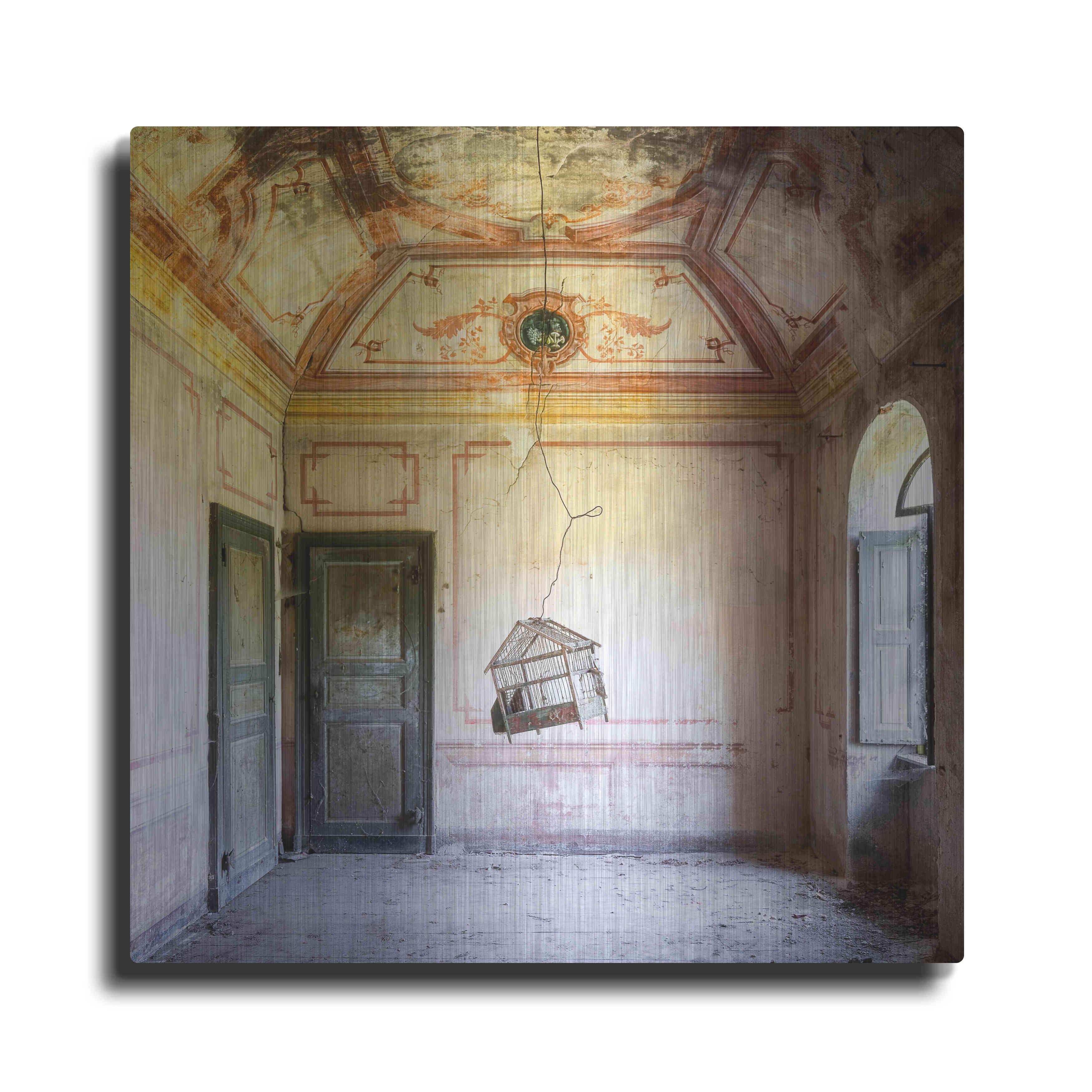 Luxe Metal Art 'Bird Cage' by Roman Robroek Metal Wall Art, 12"x12 ...