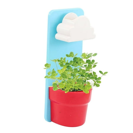 Office Mini Desktop Flower Pot Wall-Hung Rain Cloud Watering Pot ...