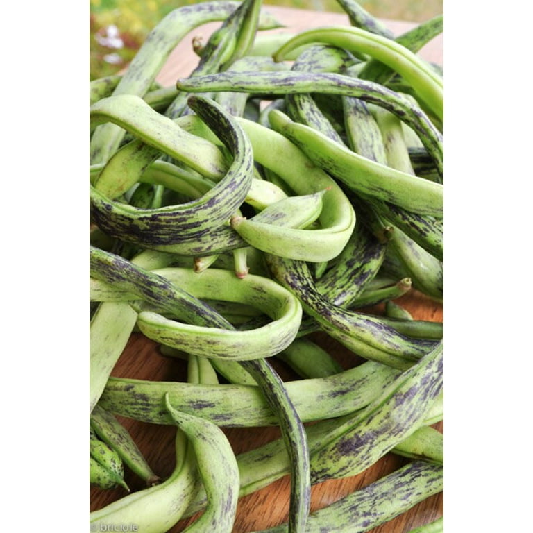Rattlesnake Beans Seeds
