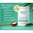 AlgaeCal Collagen - Clinically-Supported Collagen For Skin, Hair, Nails, Joints, & Bones ...