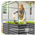Walk-in Greenhouse, 55.5" Grow House with Raised Bed, Steel Frame UV ...