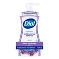 (2 pack) Dial Antibacterial Defense Fresh Lavender Scent Foaming Hand ...