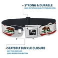 Buckle-Down Pet Collar, Dog Collar Metal Seatbelt Buckle, California ...