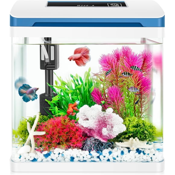 2 5 Gallon Fish Tank