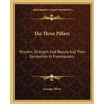 The Three Pillars (Paperback) - Walmart.com