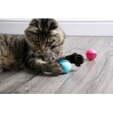 SmartyKat FlickerBall Electronic Light Cat Toy - Walmart.com