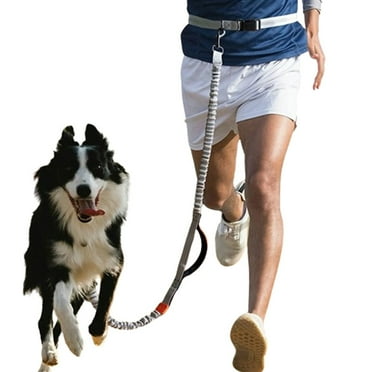 Walky Dog Plus Hands Free Bicycle Dog Leash Exerciser - Walmart.com
