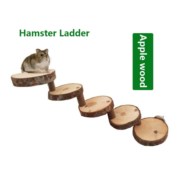Pet Climbing Ladder Wood Mice 5 Steps for Entertainment Interactive ...