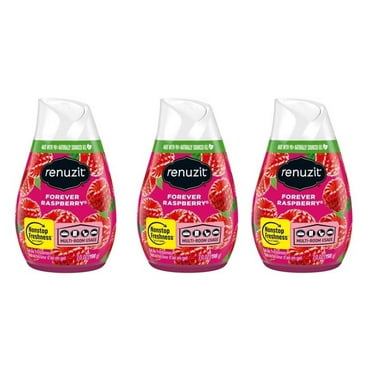 Renuzit Adjustable Solid Gel Air Freshener Cone, Forever Raspberry ...