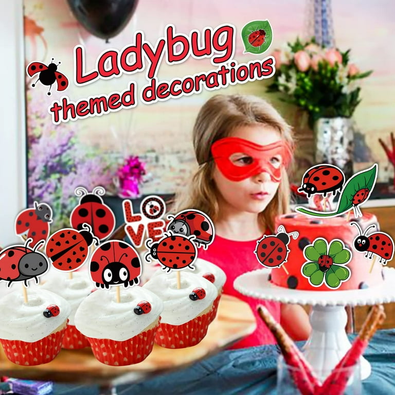 Ladybug Decorations For 1st Birthday Party