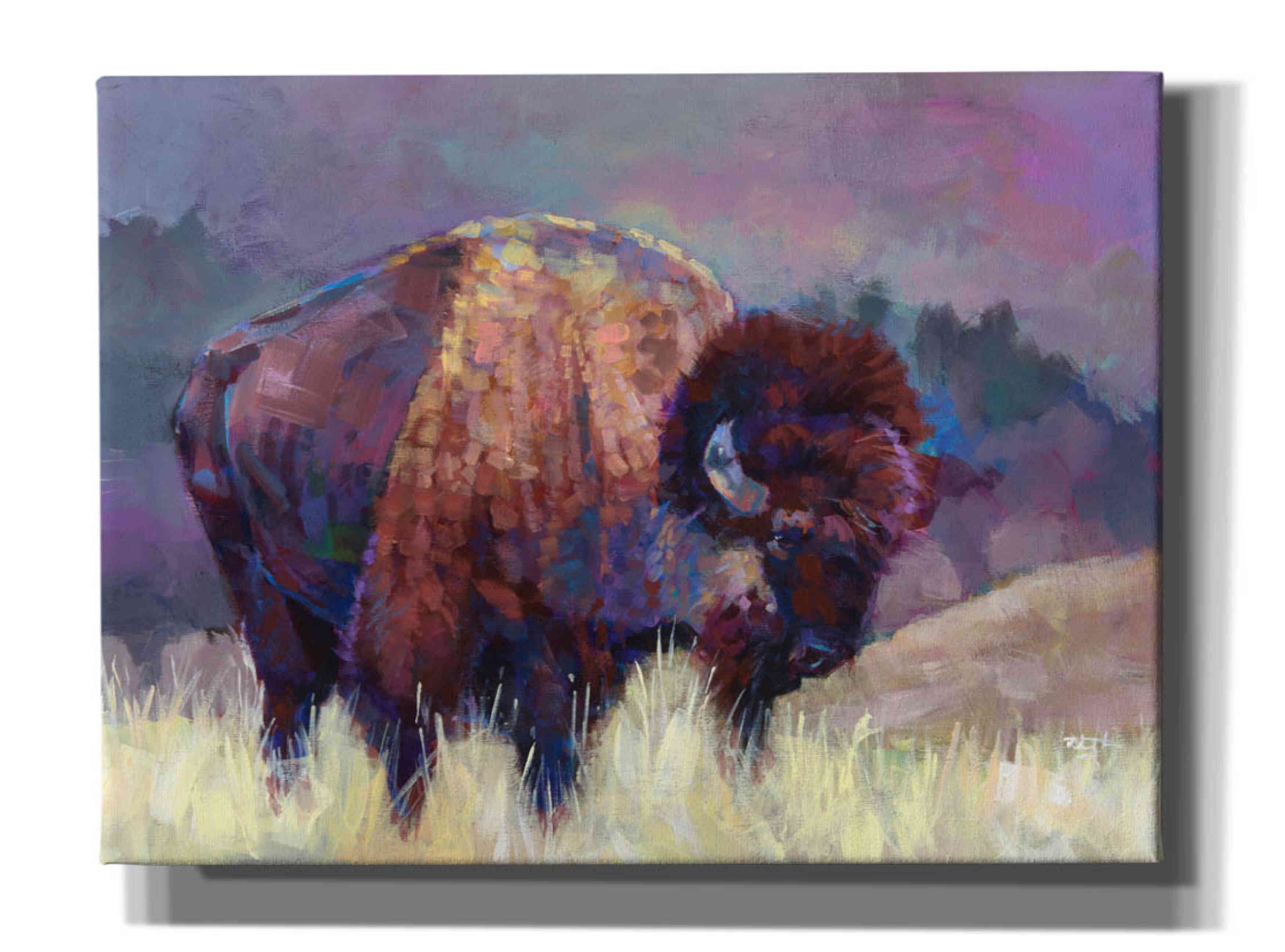 Epic Graffiti 'Buffalo Roam' by Robert Jackson, Canvas Wall Art, 54"x40 ...
