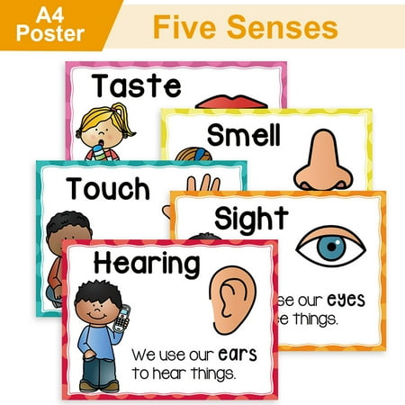 5 Pcs Five Senses Big Flashcards Posters Classroom Decoration ...
