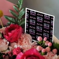 3drose, Pink Retro Flamingo Beach Pun of Calm the Flock Down., 6 ...