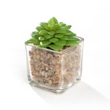 K-Cliffs 2" Modern Mini Artificial Succulent Plants Potted in Cube ...