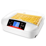 Ovation 28 Advance automatic egg incubator with humidity display ...