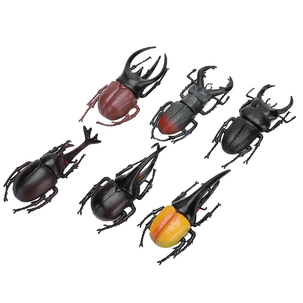Cergrey Halloween Trick Props, 6pcs Simulation Beetle Insect Model ...
