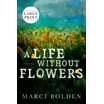 A Life Without Water (Large Print), (Paperback) - Walmart.com