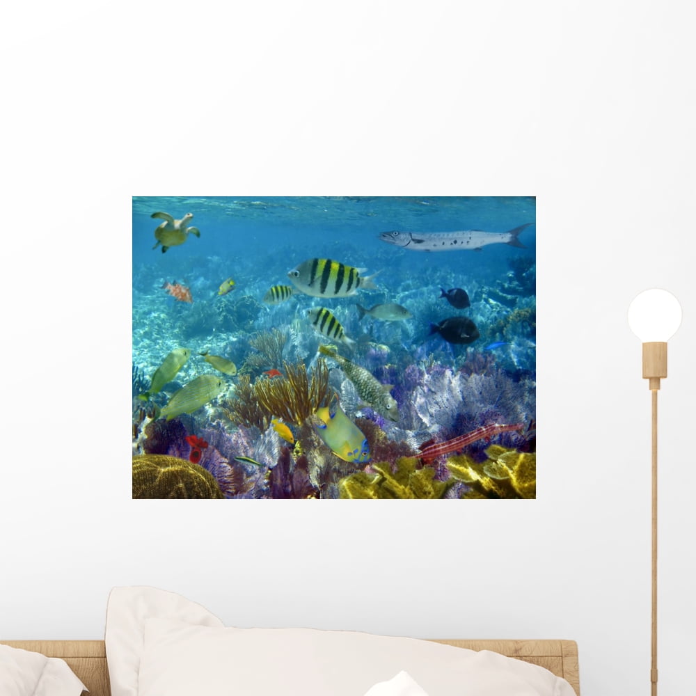 Caribbean Reef Tropical Fishes Wall Mural by Wallmonkeys Peel and Stick ...