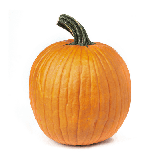 Pumpkins - Walmart.com