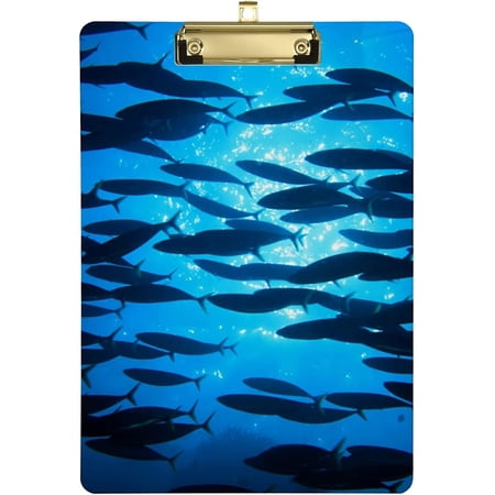 RYLABLUE Fish Clipboard Hardboard Wood Nursing Clip Board and Pull for ...