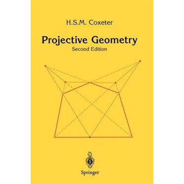 Differential Geometry (Paperback) - Walmart.com