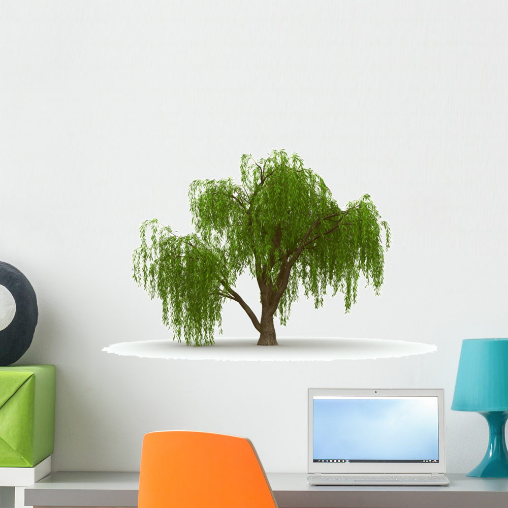 3D Green Tree Weeping Wall Mural by Wallmonkeys Peel and Stick Graphic ...