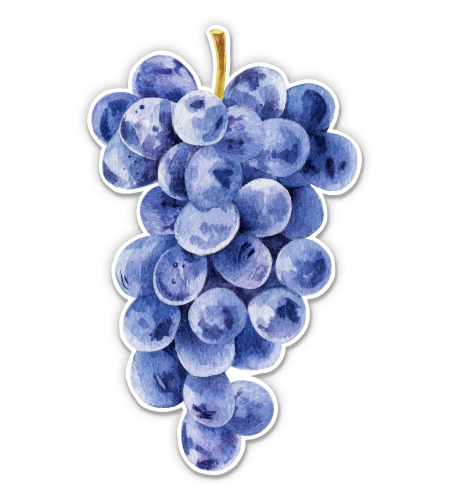 Grapes Beautiful Painted - 12" Vinyl Sticker Waterproof Decal - Walmart.com