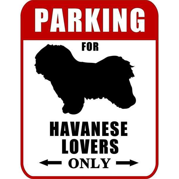 Parking for Havanese Lovers Only (Red Ver.) 9" W x 11.5" H Laminated ...