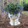 Homestyles Antique White Grandma Violet the Muggly Face Humorous Statue ...