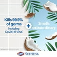 Clorox Scentiva Disinfectant Wipes, Fresh Pacific Breeze & Coconut, 140 ...