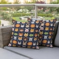 Cartoon Animal Outdoor Pillow Covers Set of 2 Lion Tiger Monkey Zebra ...