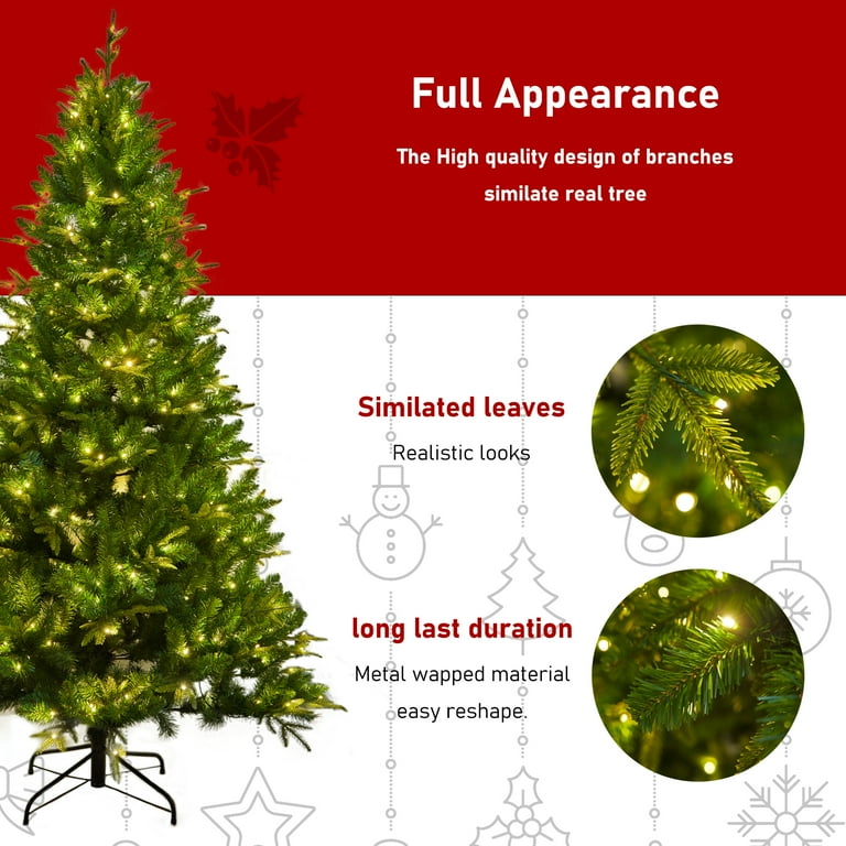 Real Christmas Trees Types