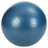 SPRI Weighted Stability Exercise Ball, 55cm, Blue - Walmart.com