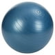 SPRI Weighted Stability Exercise Ball, 55cm, Blue - Walmart.com