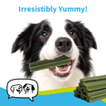 Dental Chews for Dogs - Mint Dental Sticks for Plaque Tartar & Breath ...