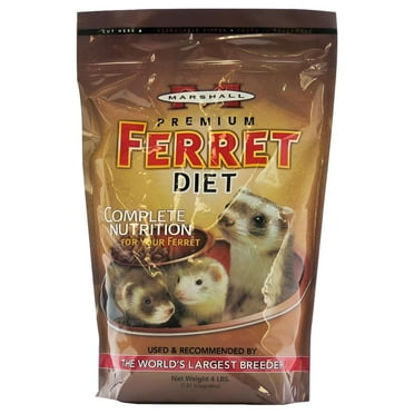 Marshall Pet Products Ferret Harness & Lead, Assorted Colors - Walmart.com