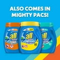 all Laundry Detergent Liquid with OXI Stain Removers and Whiteners, 195 ...