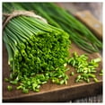 Everwilde Farms - 1000 Common Chives Herb Seeds - Gold Vault Jumbo Bulk ...
