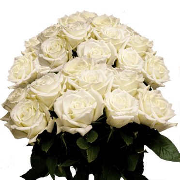 50 Stems of Red Roses- Beautiful Fresh Cut Flowers- Express Delivery ...