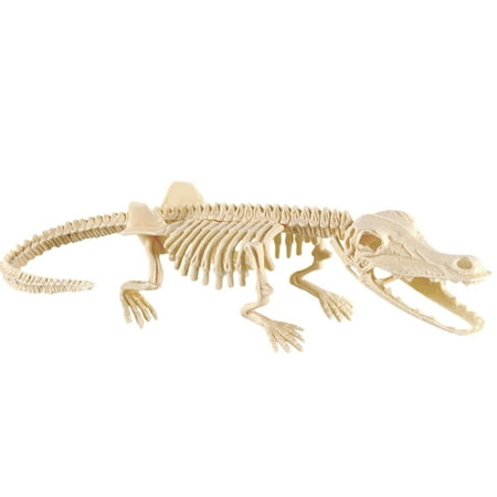 Dinosaur Dig Kit Practical Dinosaur Skeleton Toy Figures Dino Bone ...