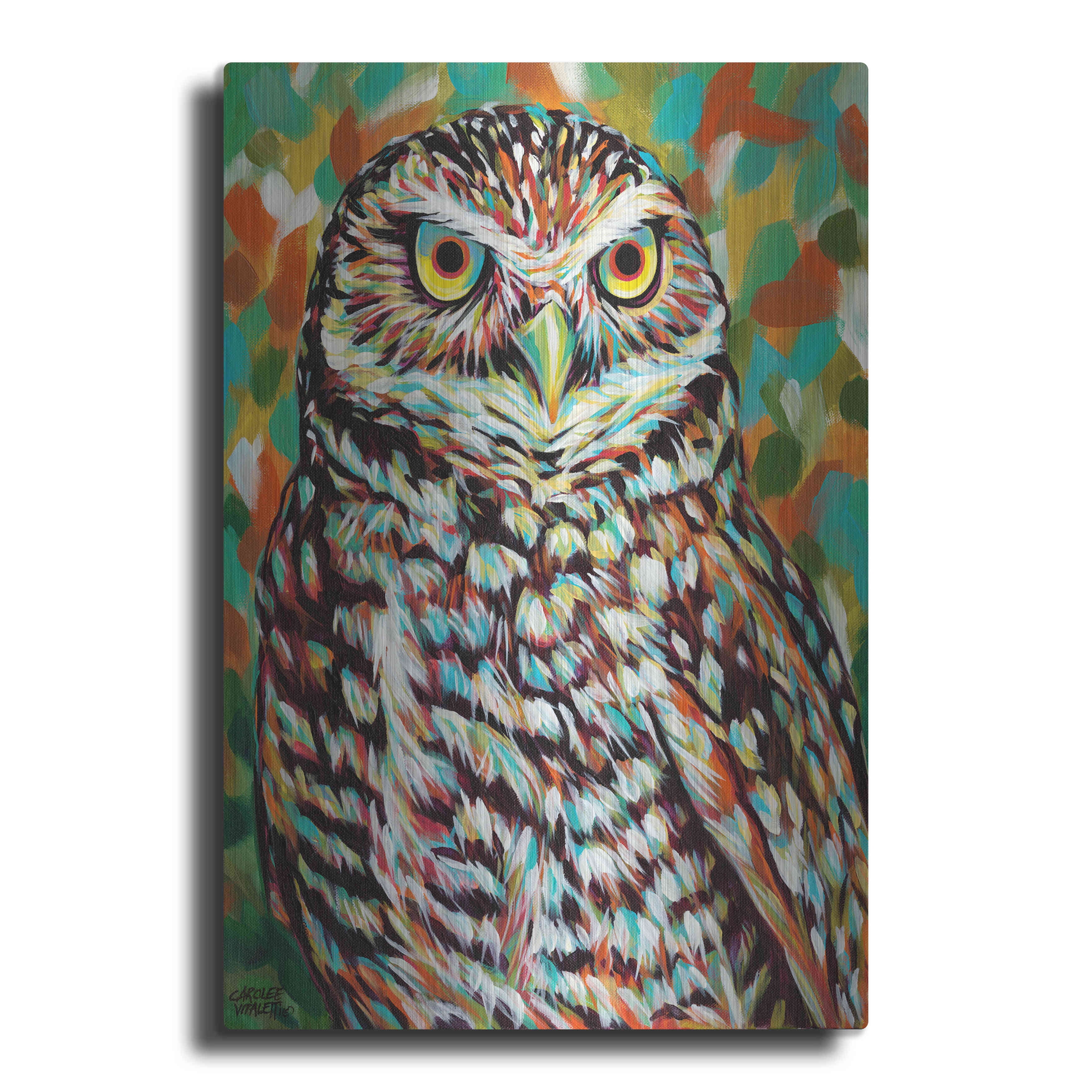 Luxe Metal Art 'Furry Feather Friends II' by Carolee Vitaletti Metal ...