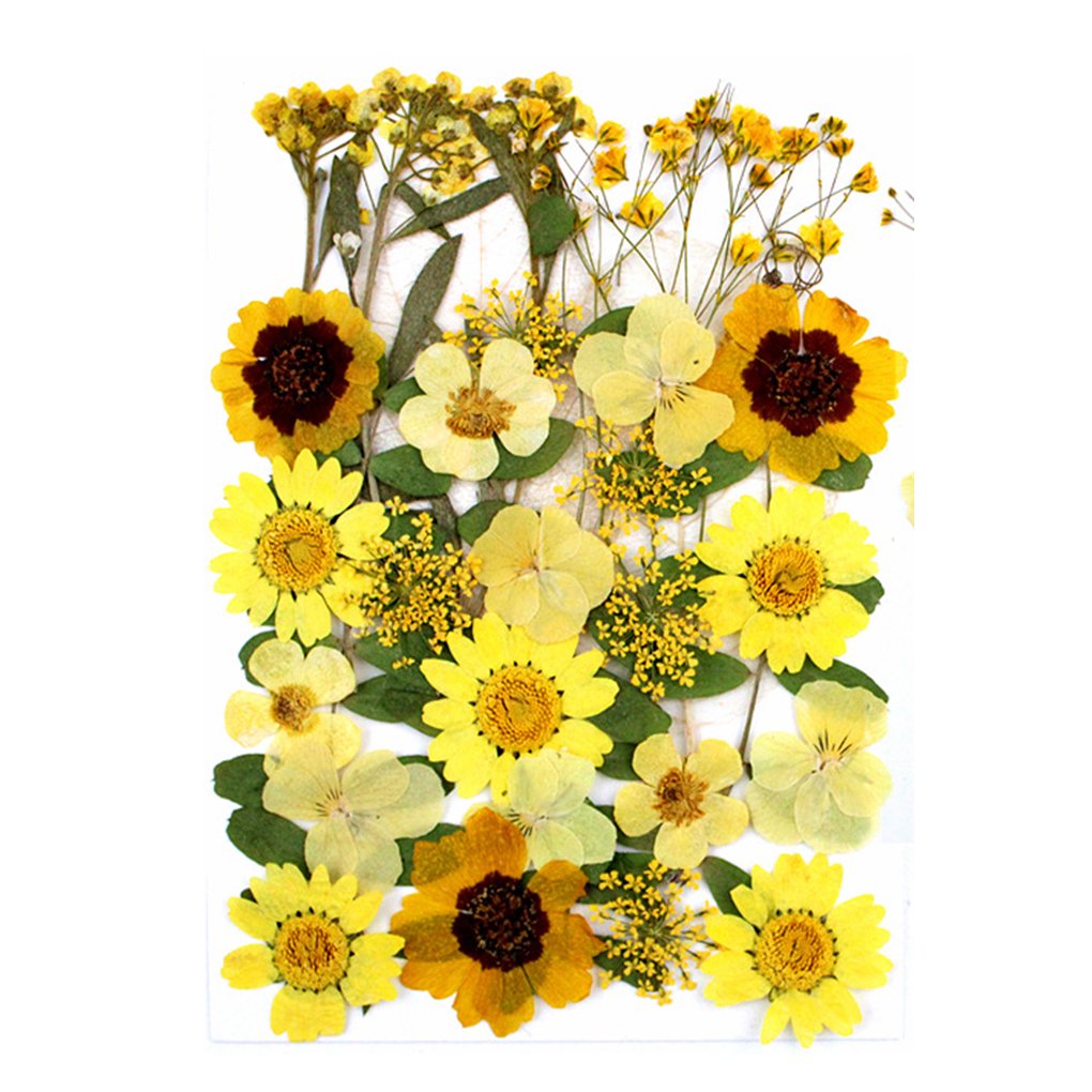 Simple Real Flower