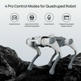DEEP Robotics Lite 3 Quadruped Robot Dog – Autonomous Smart Bionic ...
