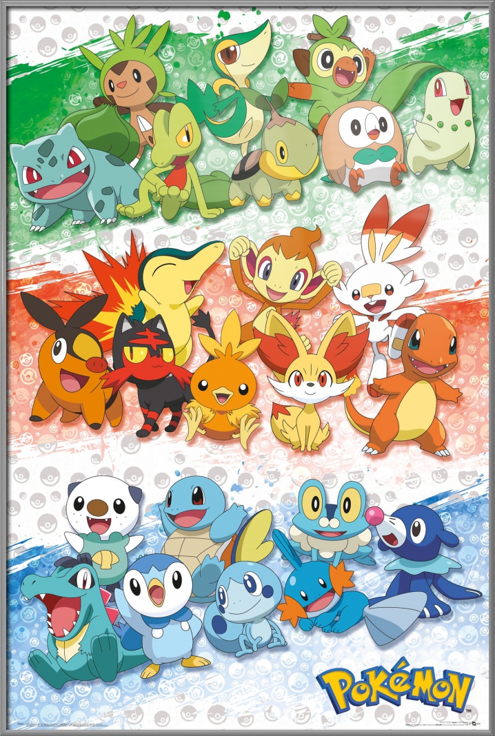 Pokemon - Framed TV Show / Gaming Poster (First Partners) (Size: 24" x ...
